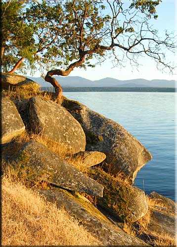 Mudge Island: Driftwood Waterfront Cottage - Gulf Islands Vacation ...