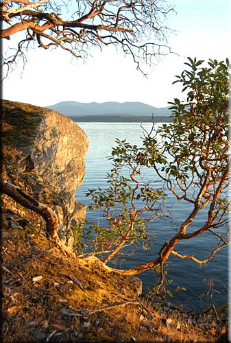 Mudge Island: Driftwood Waterfront Cottage - Gulf Islands Vacation ...